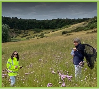 Breedon – Moota Quarry Consultation – Welcome to our consultation ...